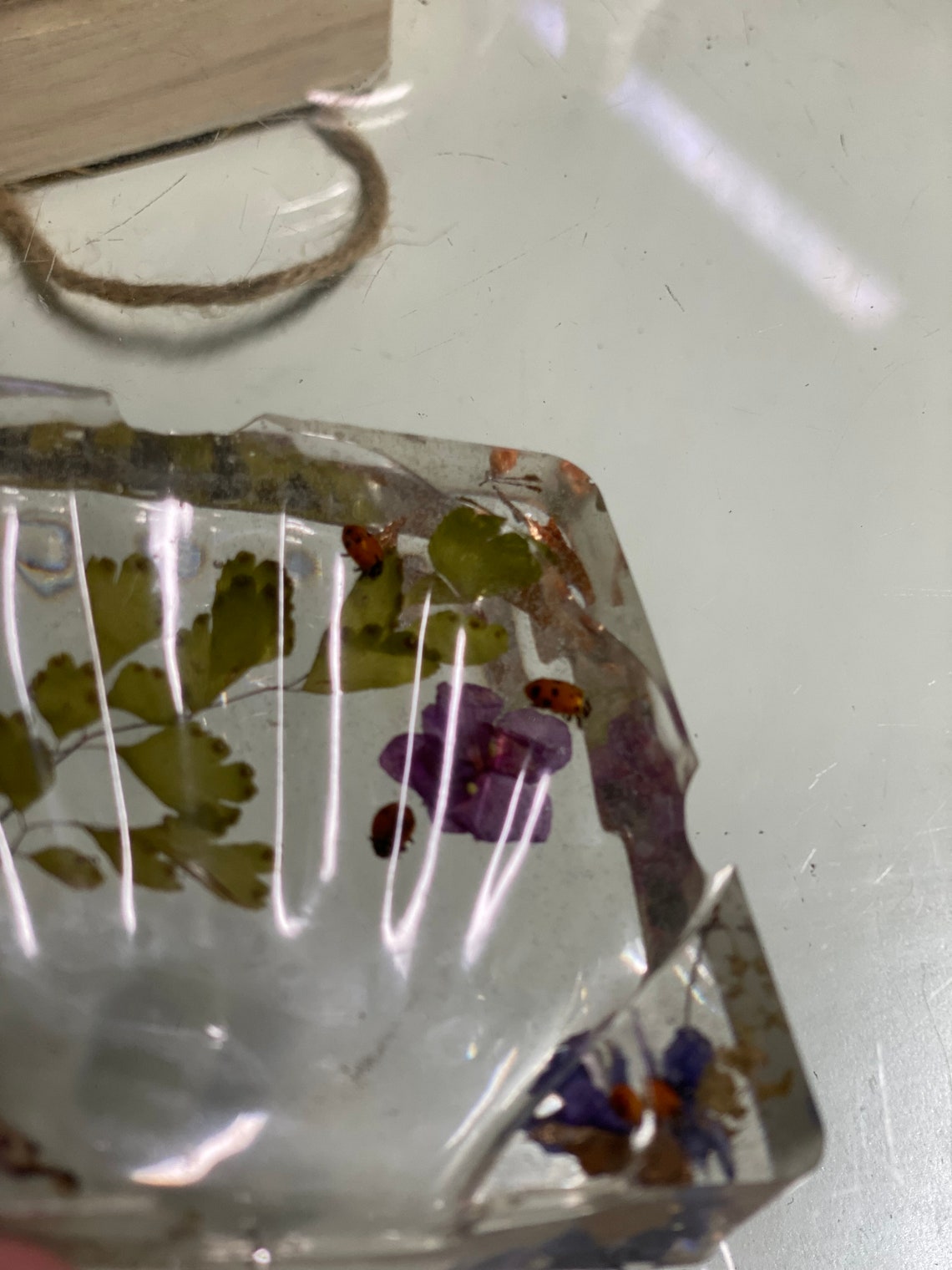 Diamond Ring Holder Resin Art With Ladybugs and Violets Real Flowers ...