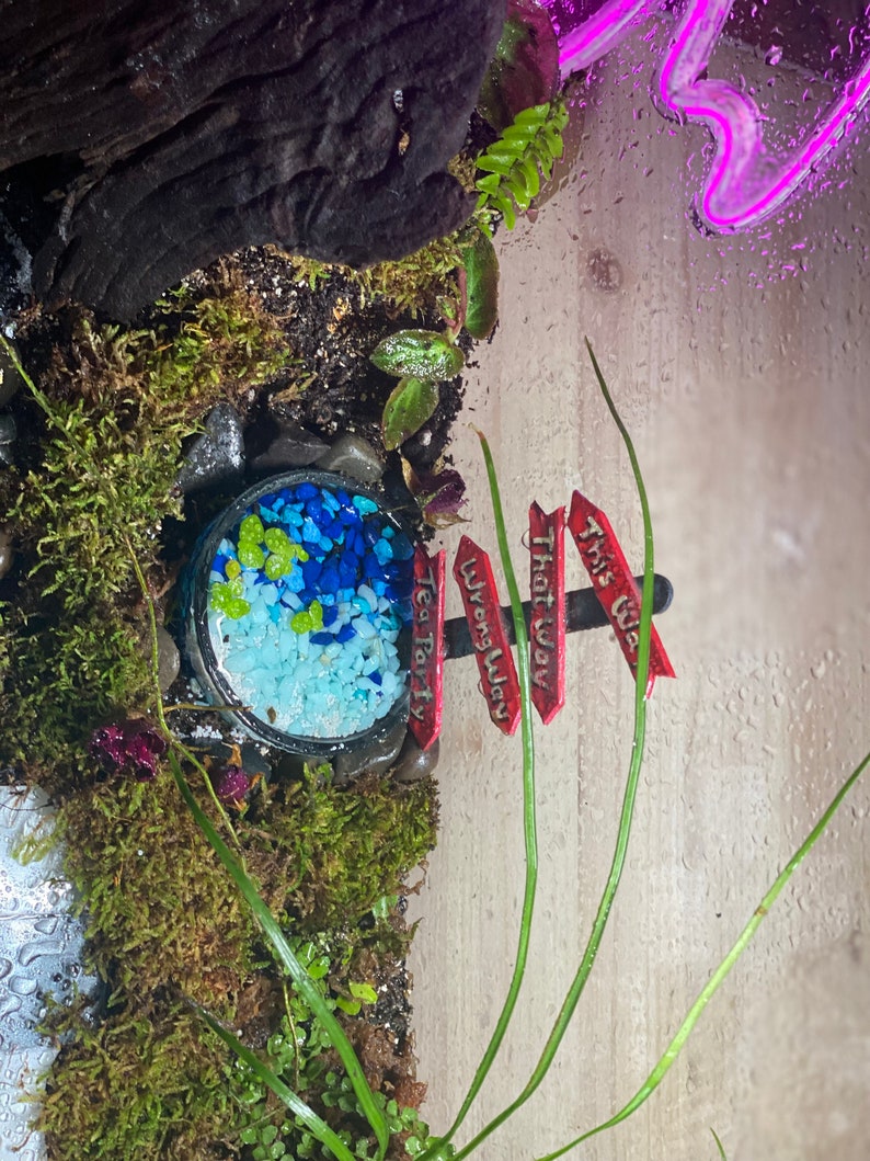 Alice in Wonderland Terrarium With Ladybugs (this EXACT Terrarium, With ...