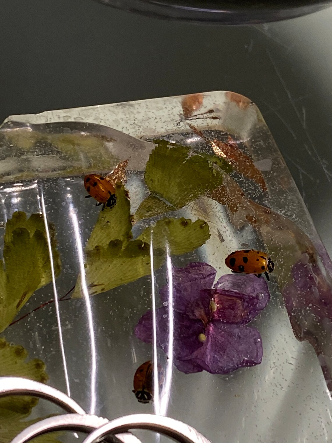 Diamond Ring Holder Resin Art With Ladybugs and Violets Real Flowers ...