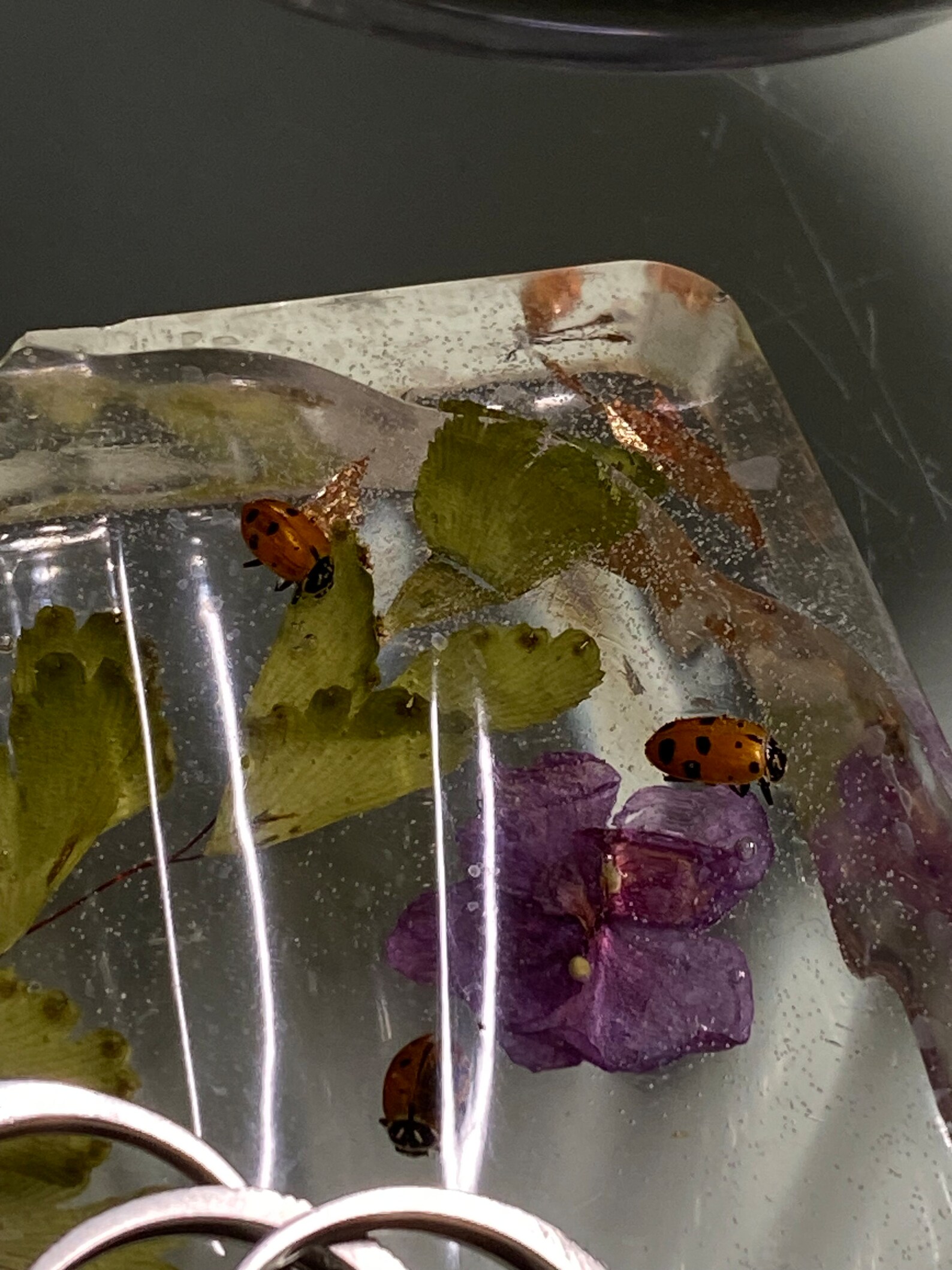 Diamond Ring Holder Resin Art With Ladybugs and Violets Real Flowers ...