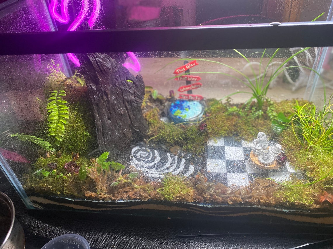 Alice in Wonderland Terrarium With Ladybugs (this EXACT Terrarium, With ...