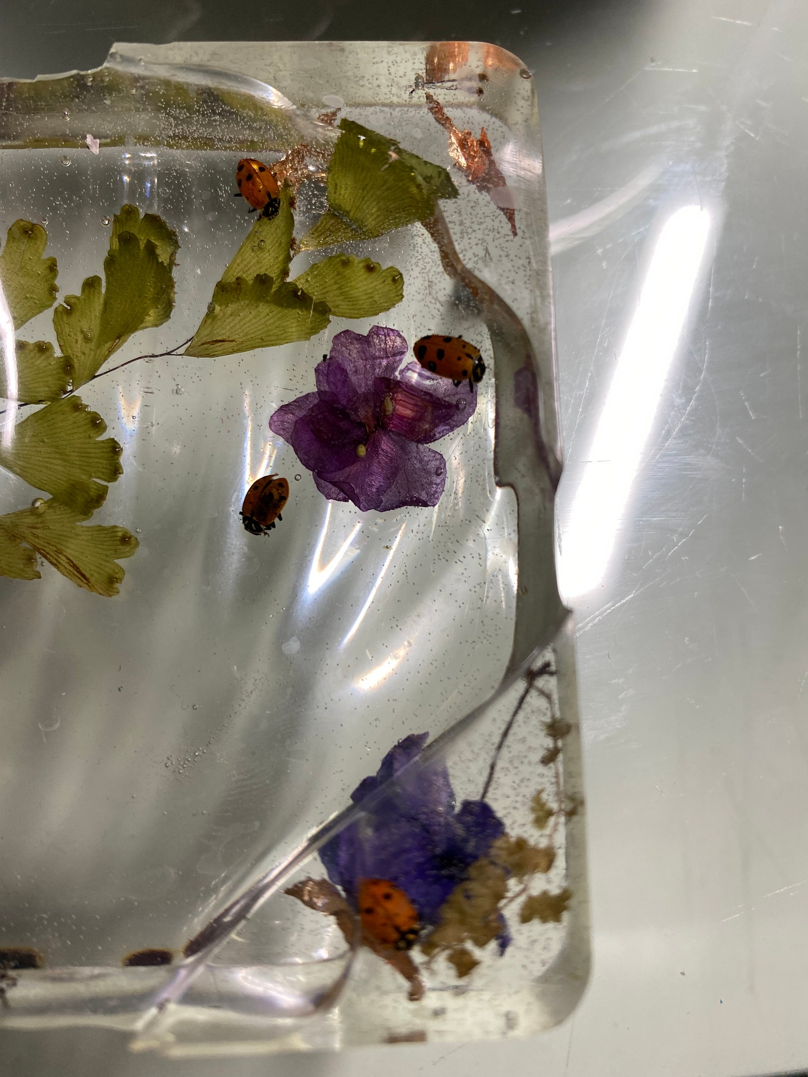 Diamond Ring Holder Resin Art With Ladybugs and Violets Real Flowers ...