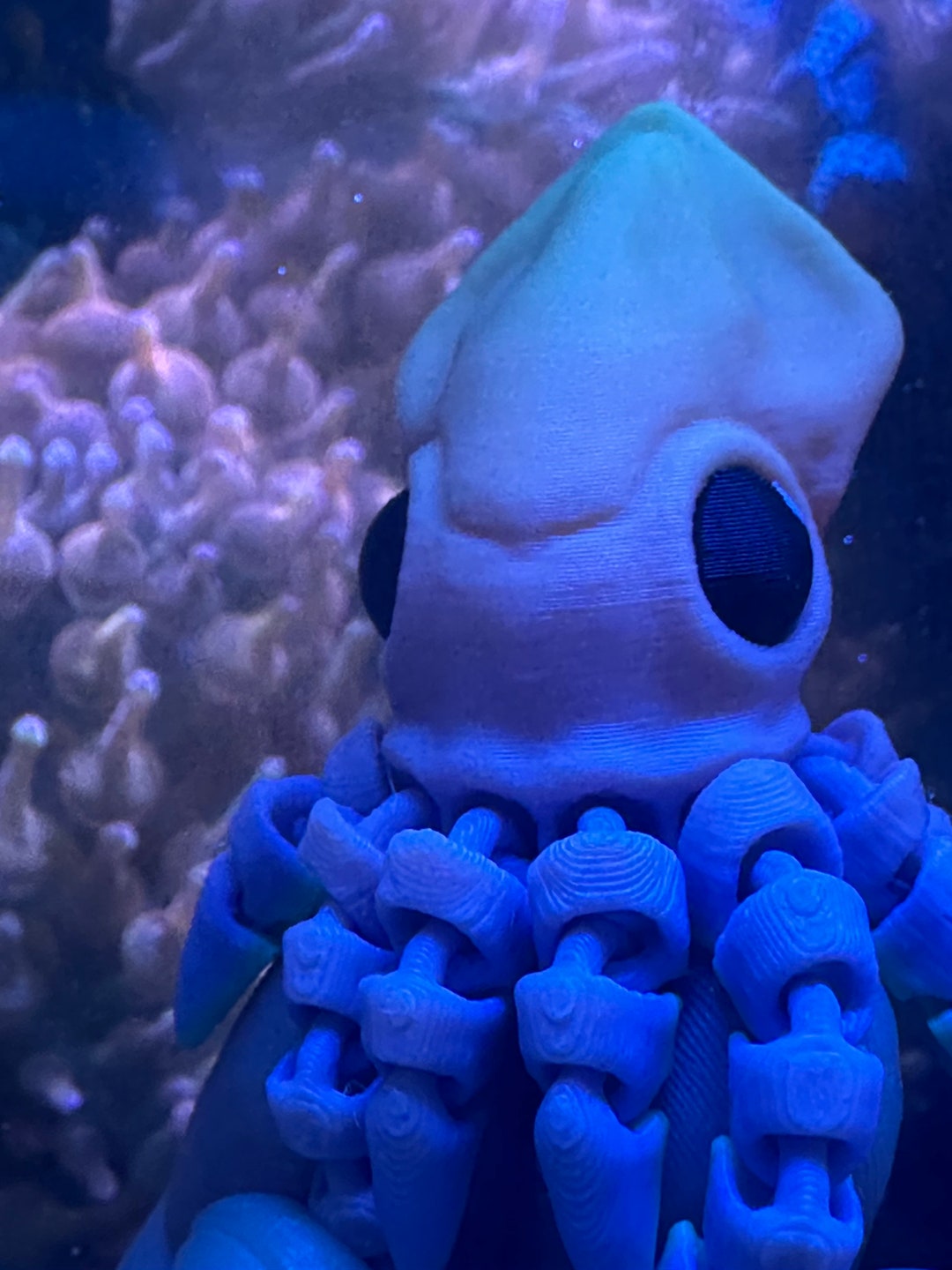 Tiny Squid Rainbow - 3D Printed Articulated Dragon - Sensory Stress ...