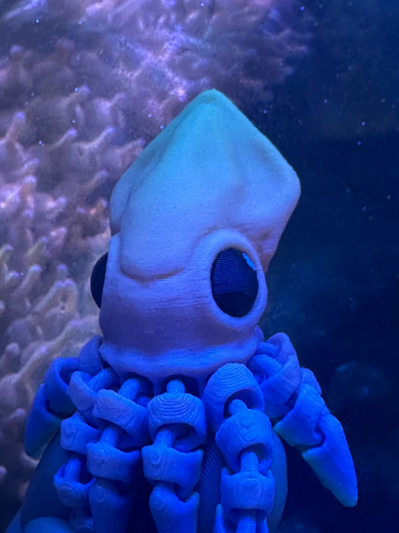 Tiny Squid Rainbow - 3D Printed Articulated Dragon - Sensory Stress ...