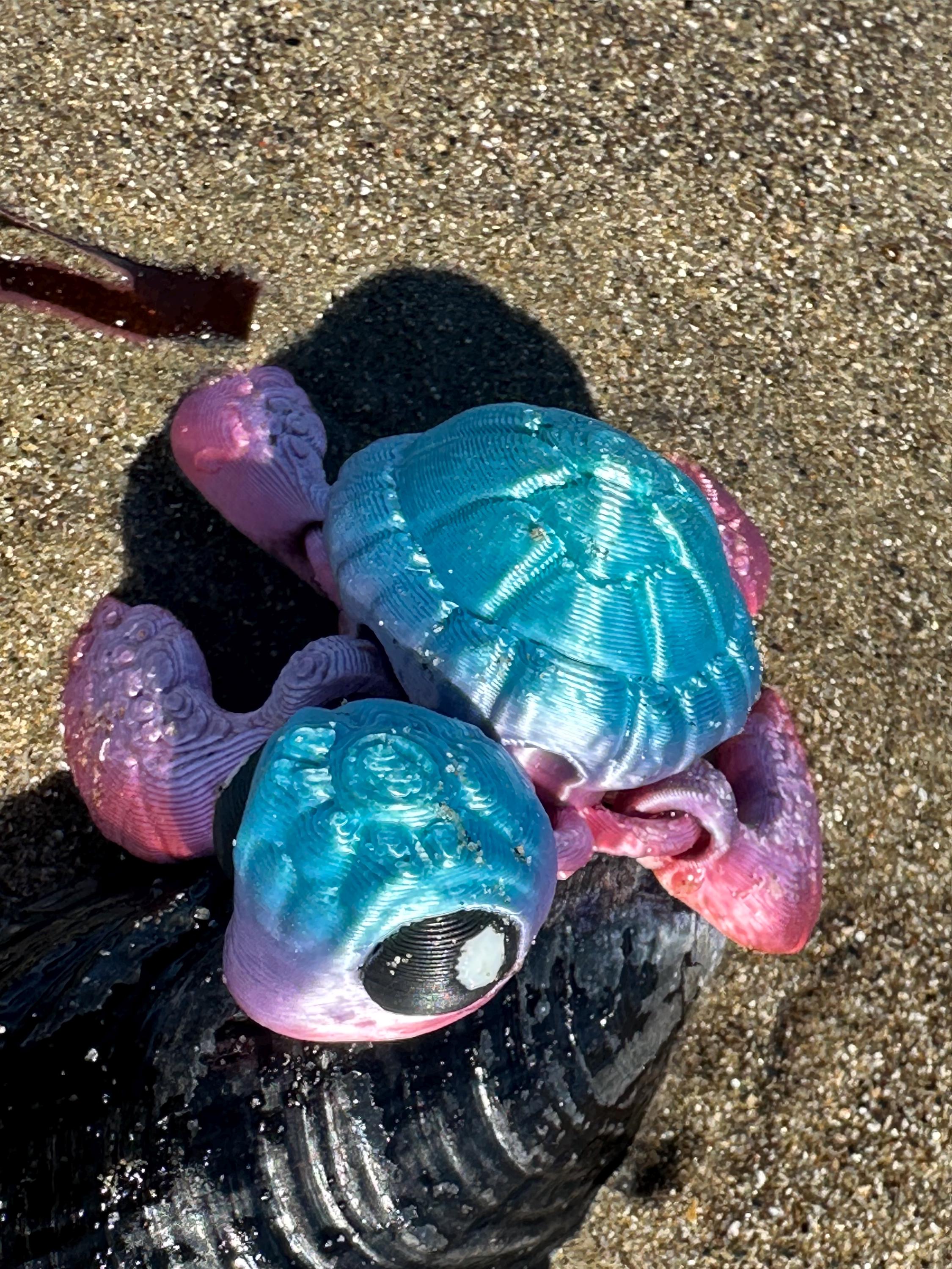 Turtle Sea Tortoise - 3D Printed Articulated Turtle - Sensory Stress ...