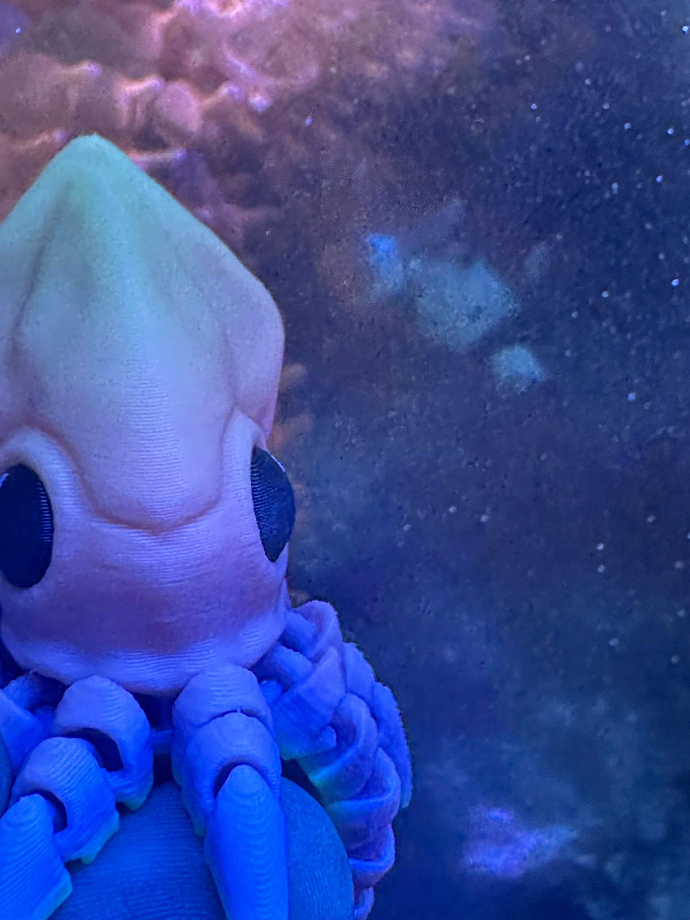 Tiny Squid Rainbow - 3D Printed Articulated Dragon - Sensory Stress ...
