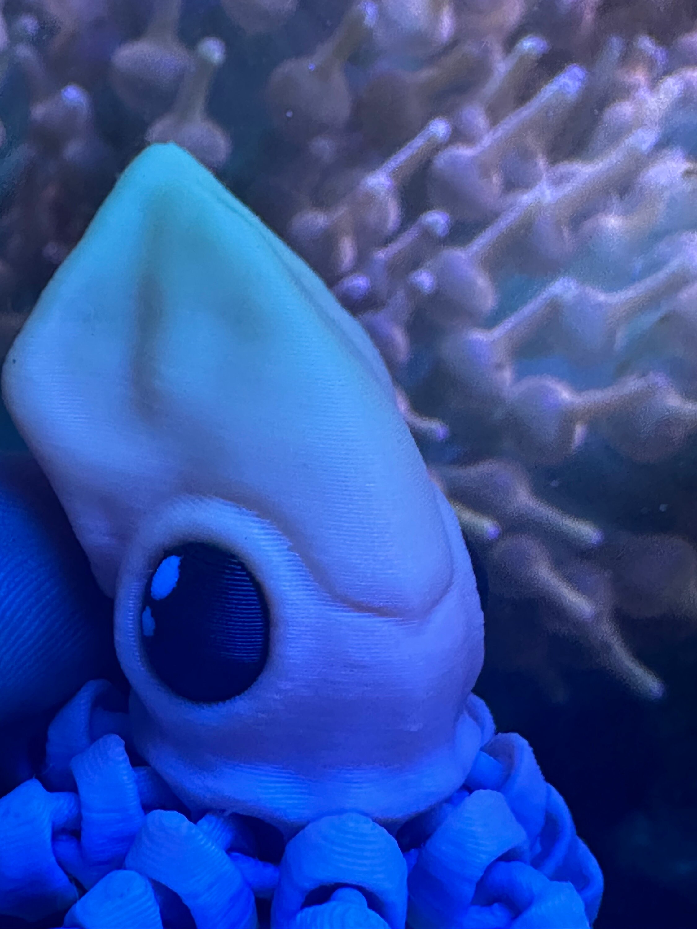 Tiny Squid Rainbow - 3D Printed Articulated Dragon - Sensory Stress ...