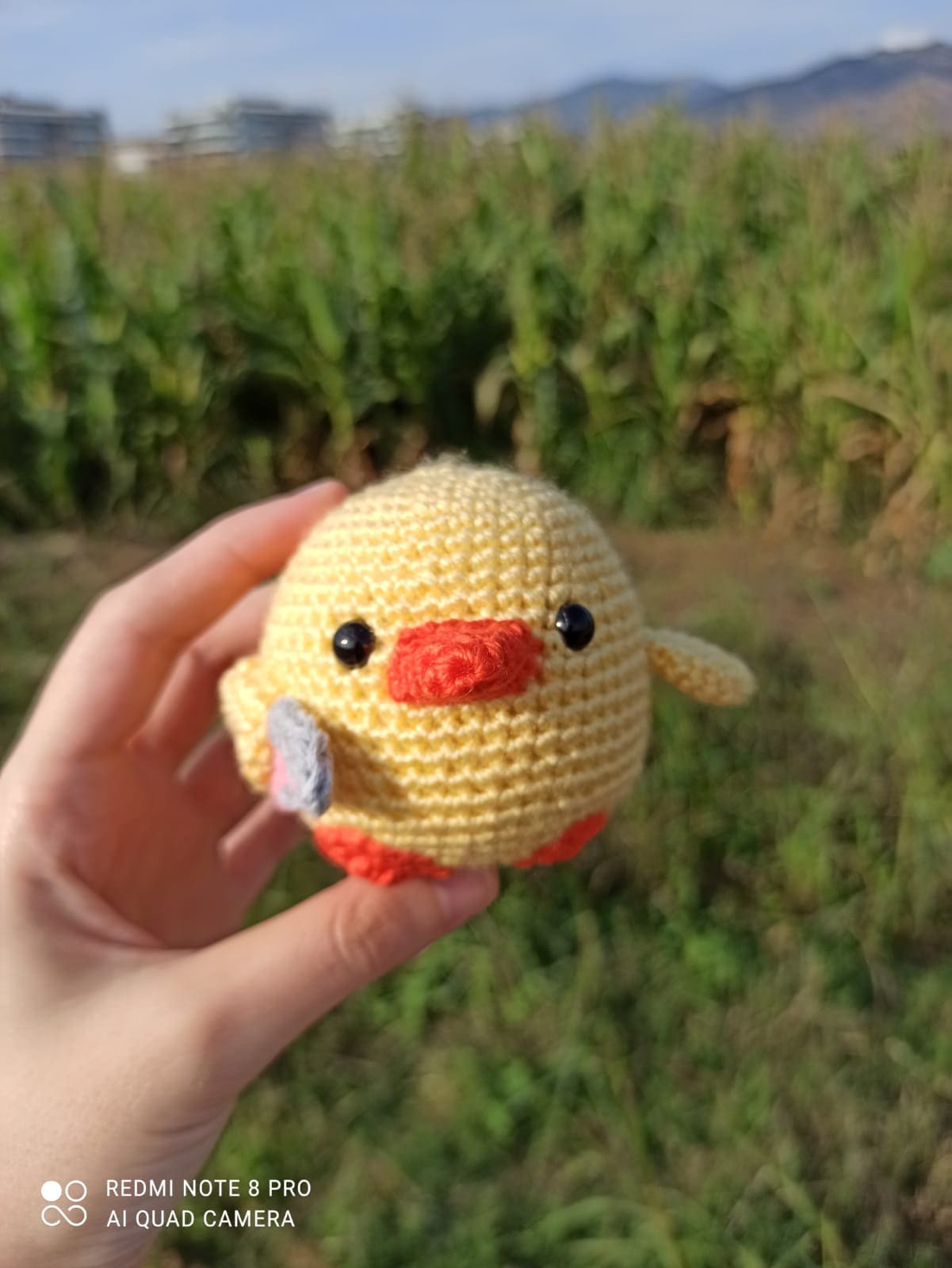 Pato con cuchillo Pollito de ganchillo con cuchillo Lindo - Etsy México