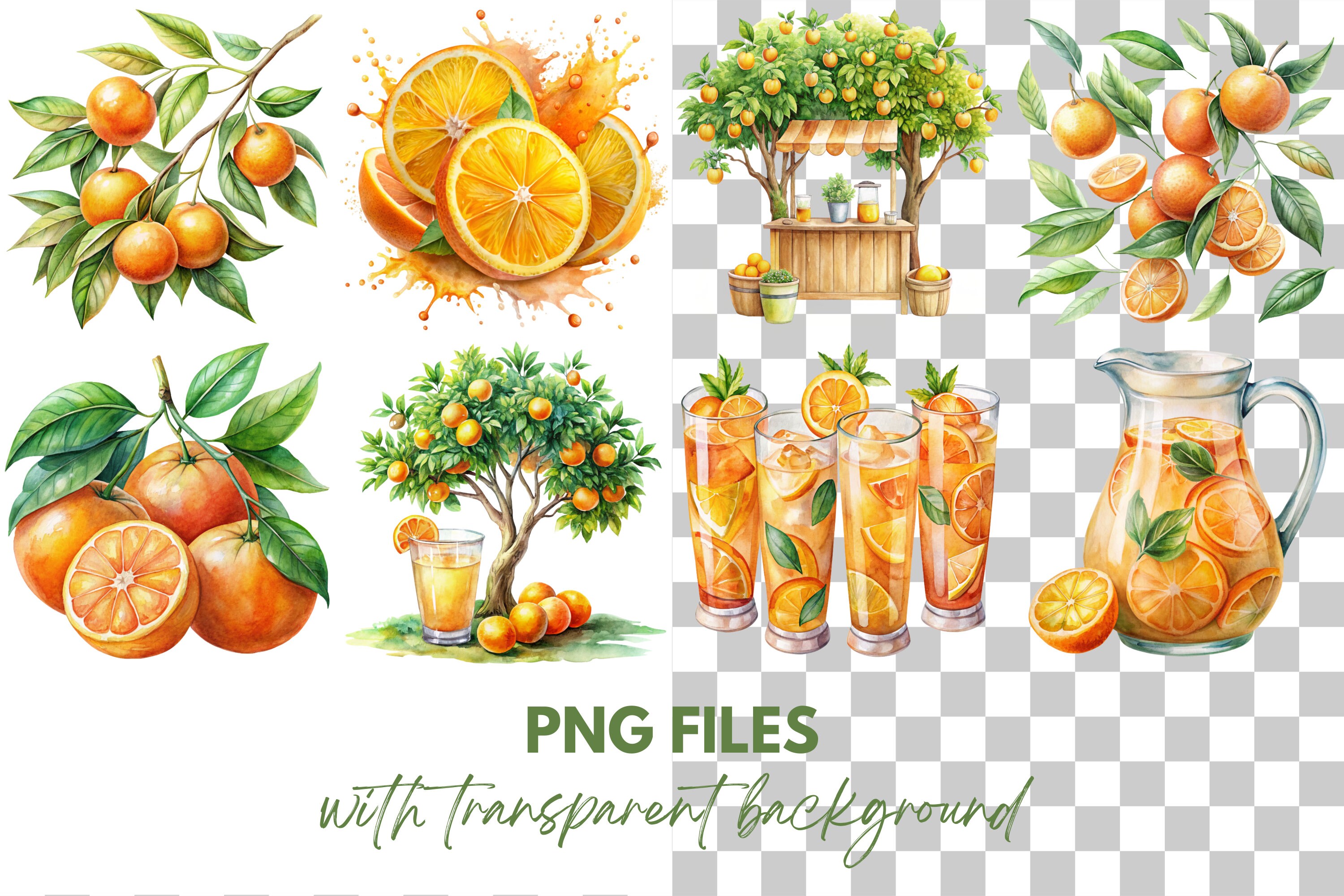 Watercolor Orange Clipart Botanical Citrus Blossom Fruit Greenery ...