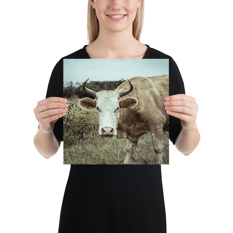 The Farm Life Cow Poster Various Sizes by Rennob Productions - Etsy