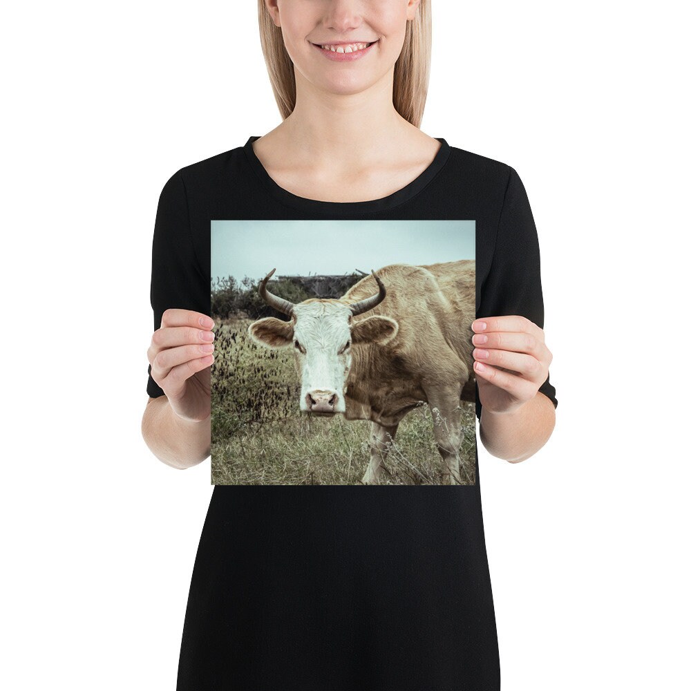 The Farm Life Cow Poster Various Sizes by Rennob Productions - Etsy