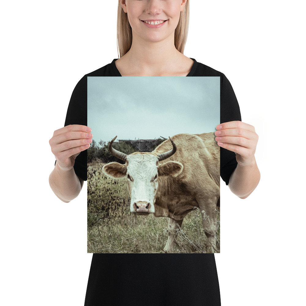 The Farm Life Cow Poster Various Sizes by Rennob Productions - Etsy
