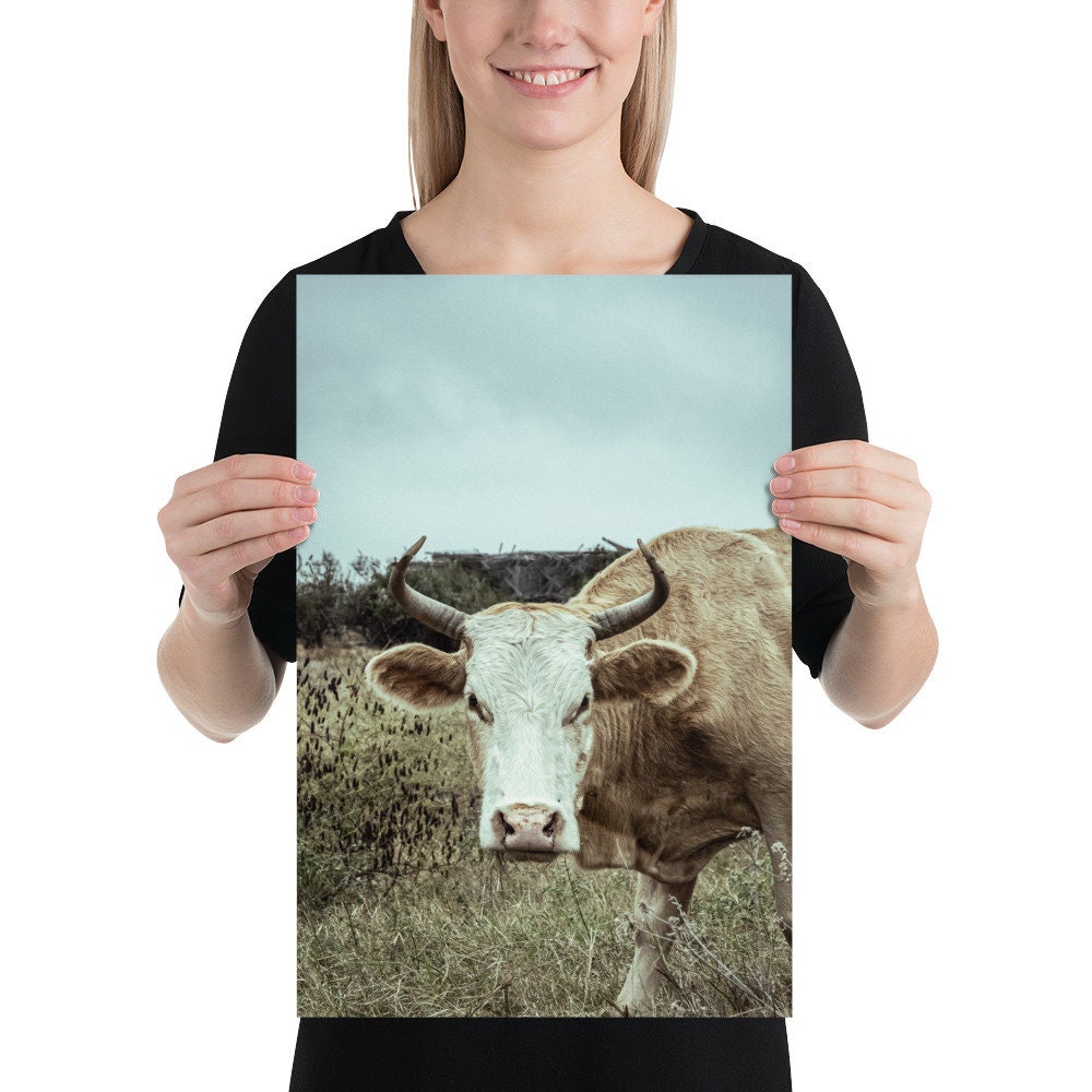The Farm Life Cow Poster Various Sizes by Rennob Productions - Etsy