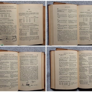 Essential German by Edward Franklin Hauch, Illustrated by Kurt Werth ...