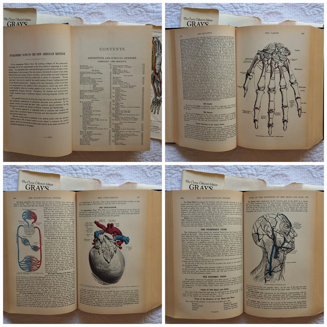 Gray's Anatomy the Classic Collector's Edition/780 Illustrations/172 in ...