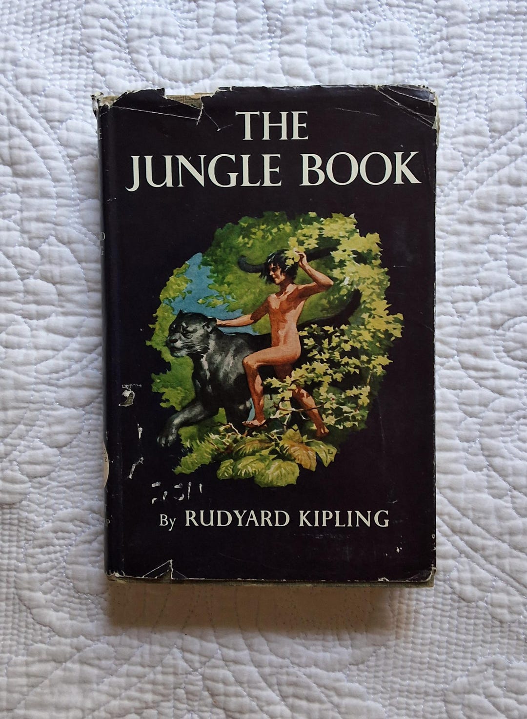 Jungle Book by Rudyard Kipling/mowgli is Raised by a Pack of Wolves in ...