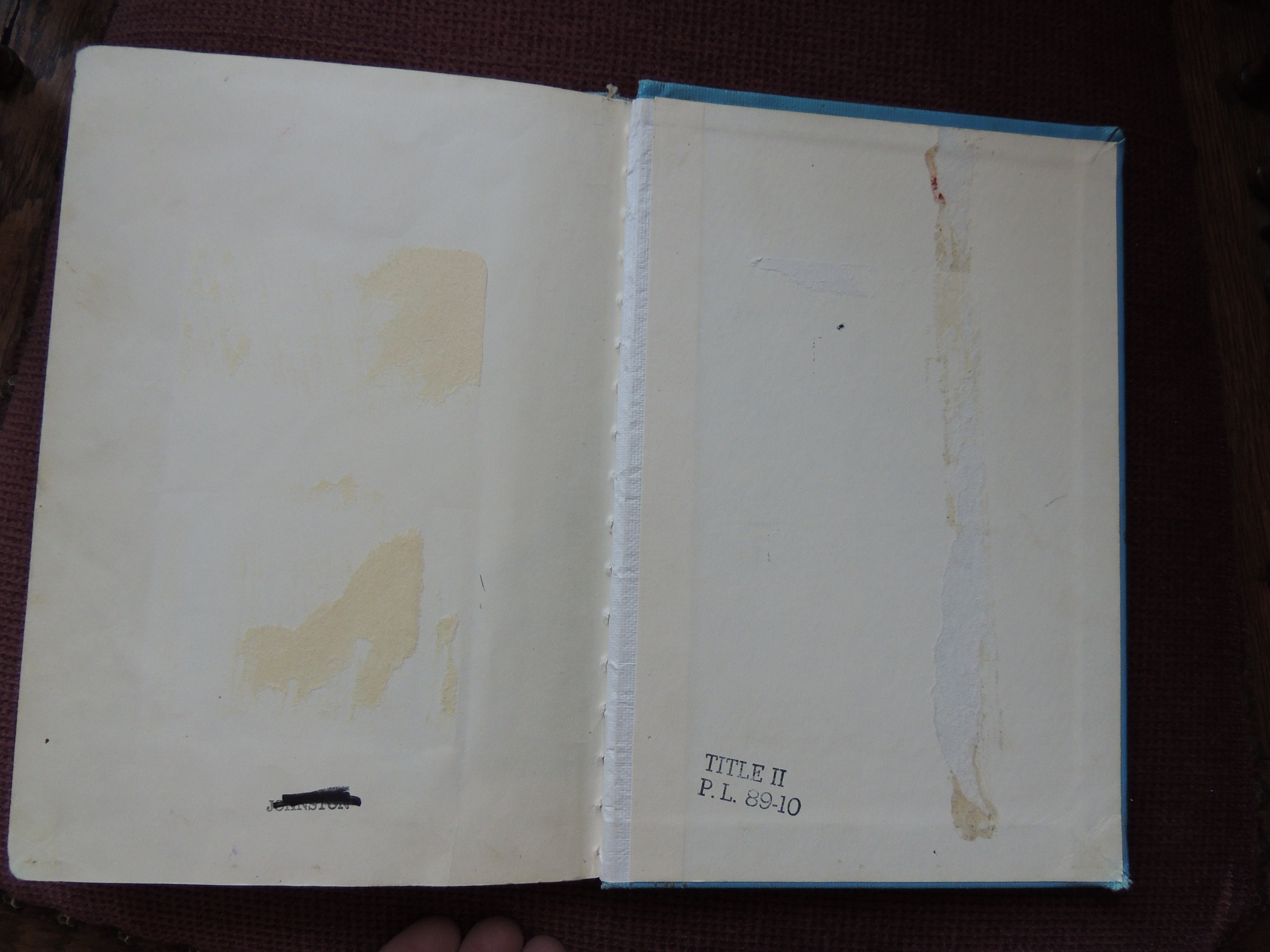 1960-are You My Mother by P.D. Eastman/baby Bird Searches for His ...