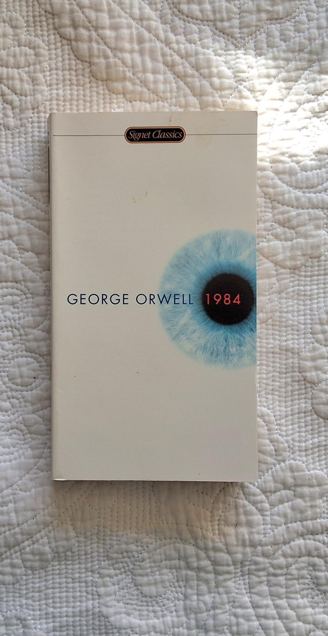 1984 by George Orwell/terrifying Vision of a Totalitarian Future in ...