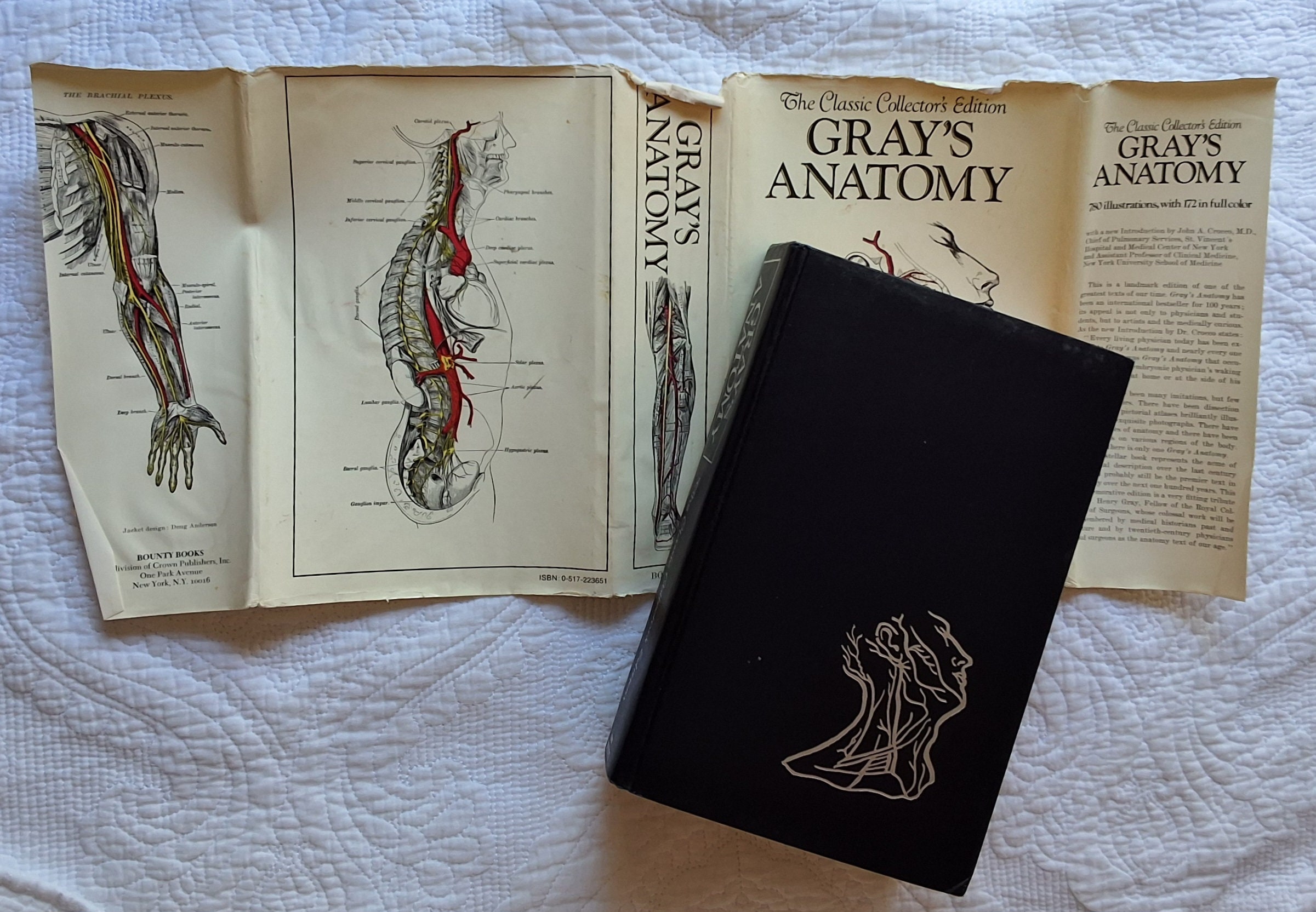 Gray's Anatomy the Classic Collector's Edition/780 Illustrations/172 in ...