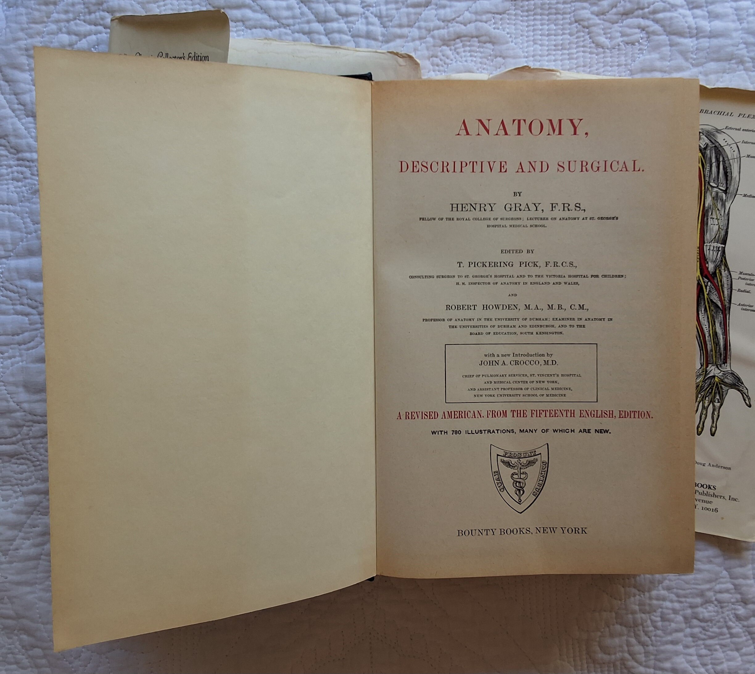 Gray's Anatomy the Classic Collector's Edition/780 Illustrations/172 in ...