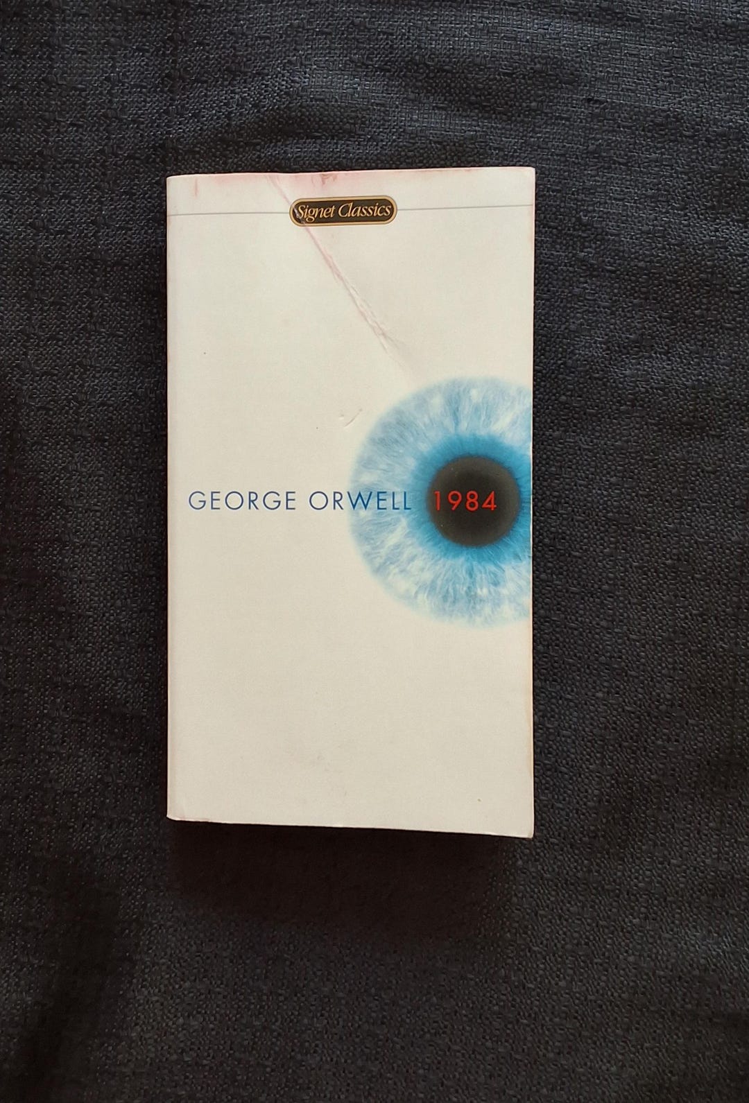 1984 by George Orwell/great Modern Classic of Negative Utopia/big ...
