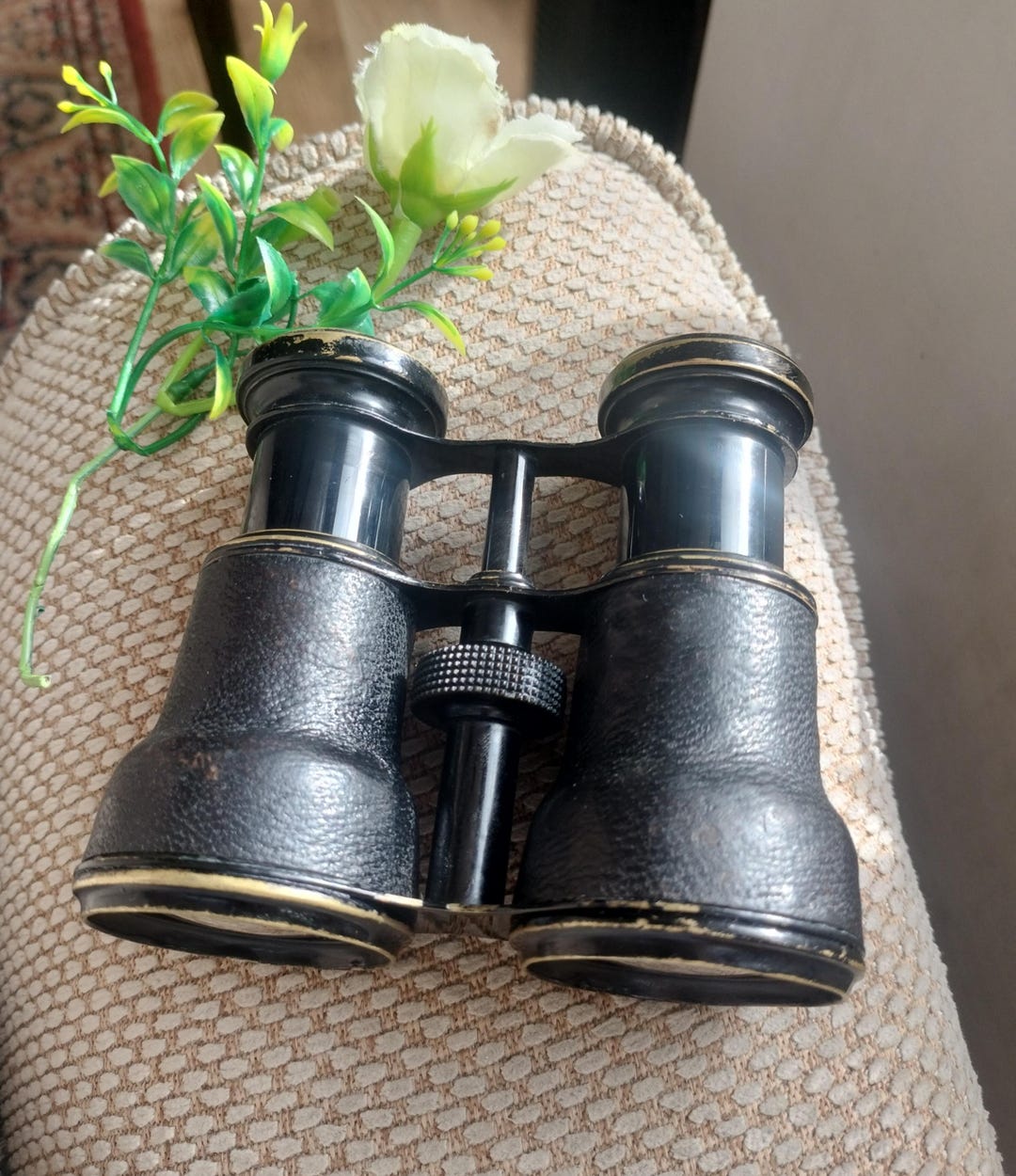 Vintage Field Glasses, Working Pair of Binoculars, Bird Watching Gift ...