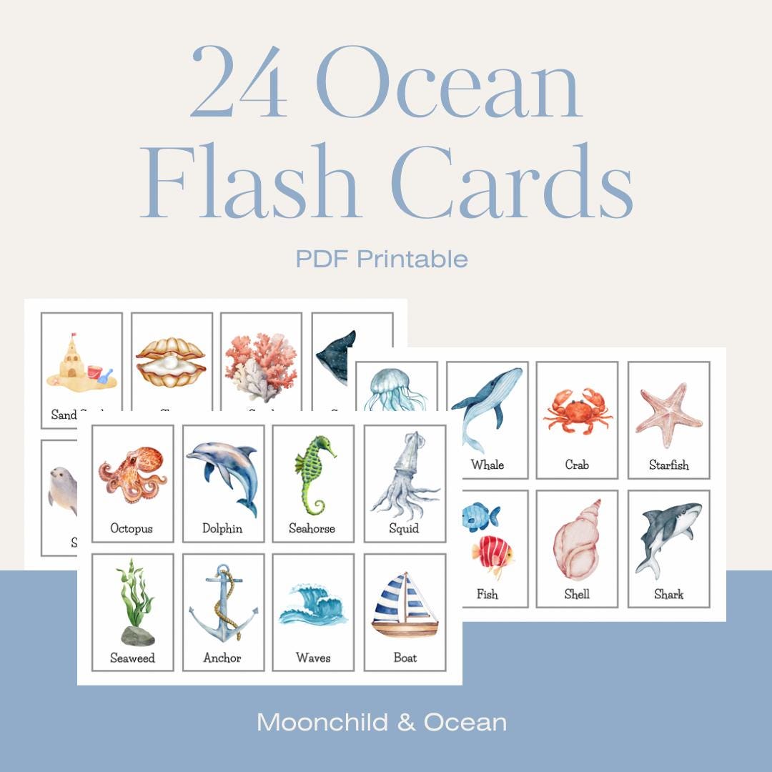 24 Ocean Flash Cards, Printable, Sea Creatures, Language Development ...