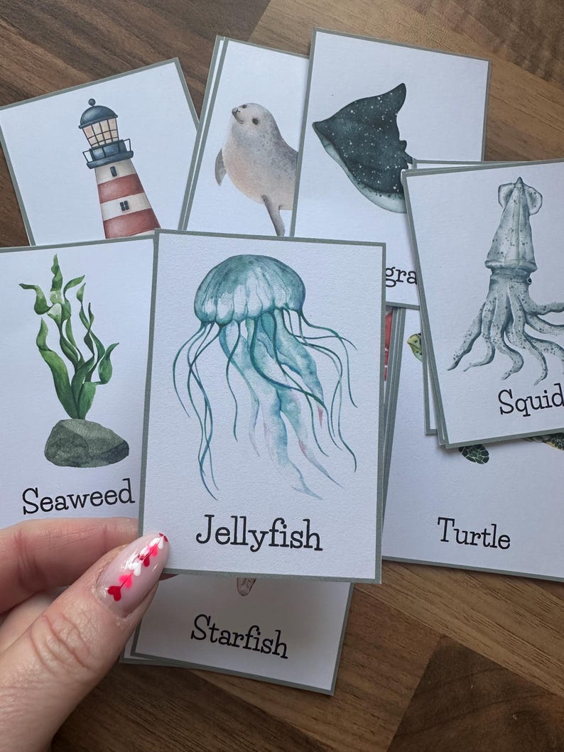 24 Ocean Flash Cards, Printable, Sea Creatures, Language Development ...
