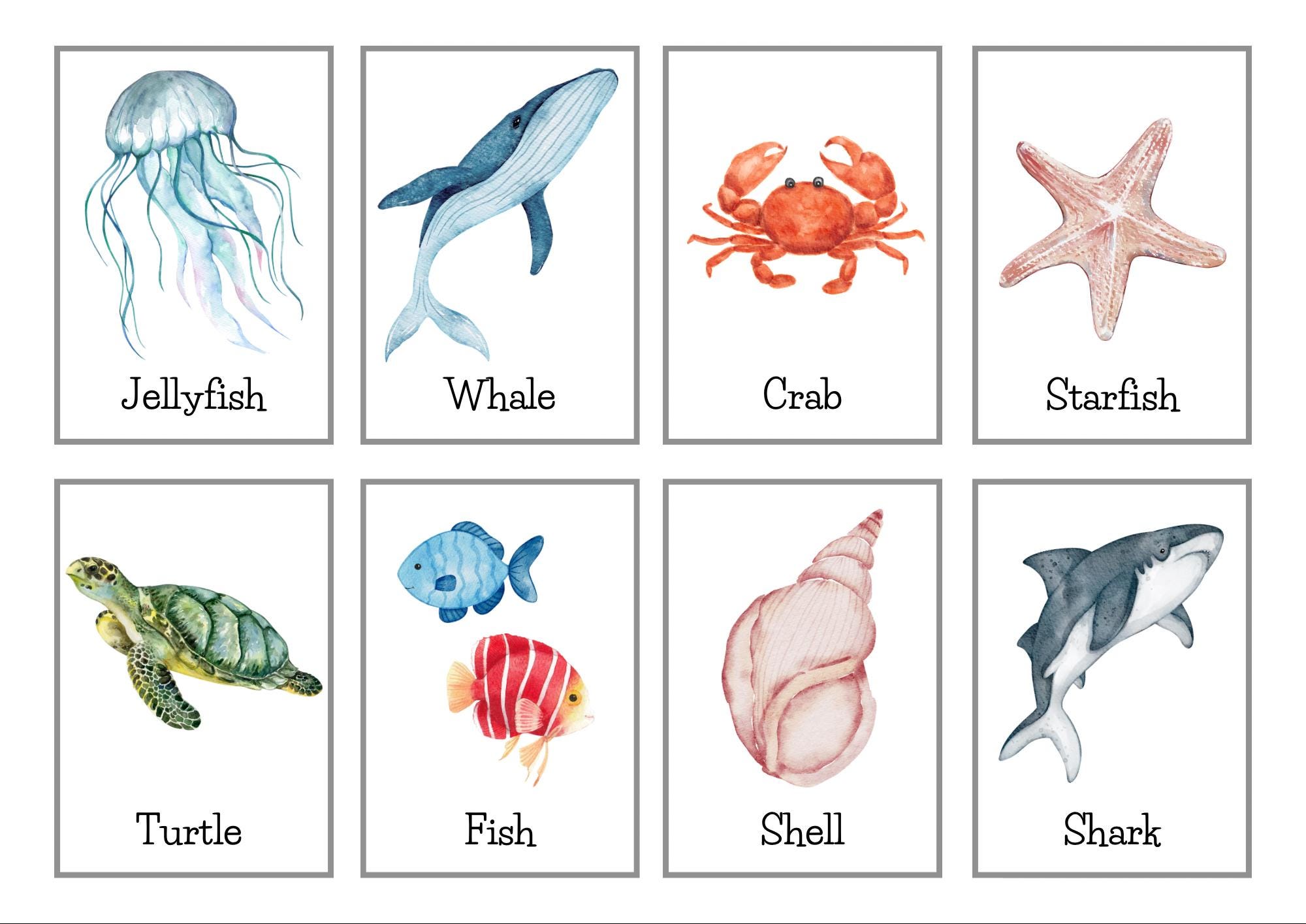 24 Ocean Flash Cards, Printable, Sea Creatures, Language Development ...
