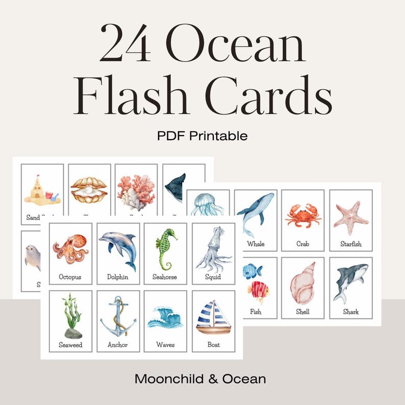 24 Ocean Flash Cards, Printable, Sea Creatures, Language Development ...