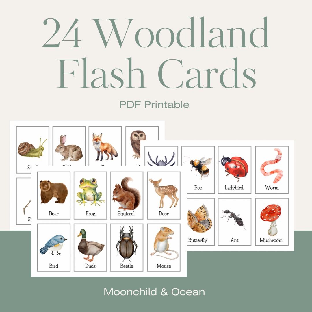 24 Woodland Flash Cards, Printable, Forrest Creatures, Language ...