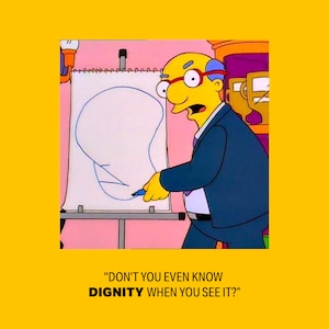 Dignity T-shirt - Simpsons Inspired Tshirt - Etsy