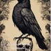 Crow on Skull Decoupage Rice Paper A4 - Etsy