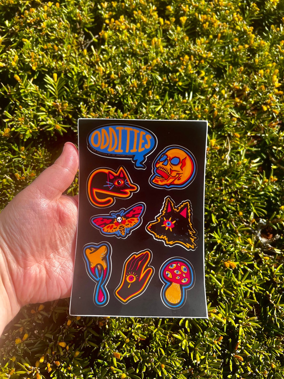 Oddities Sticker Sheet | Colorful Creatures and Curiosities - Etsy