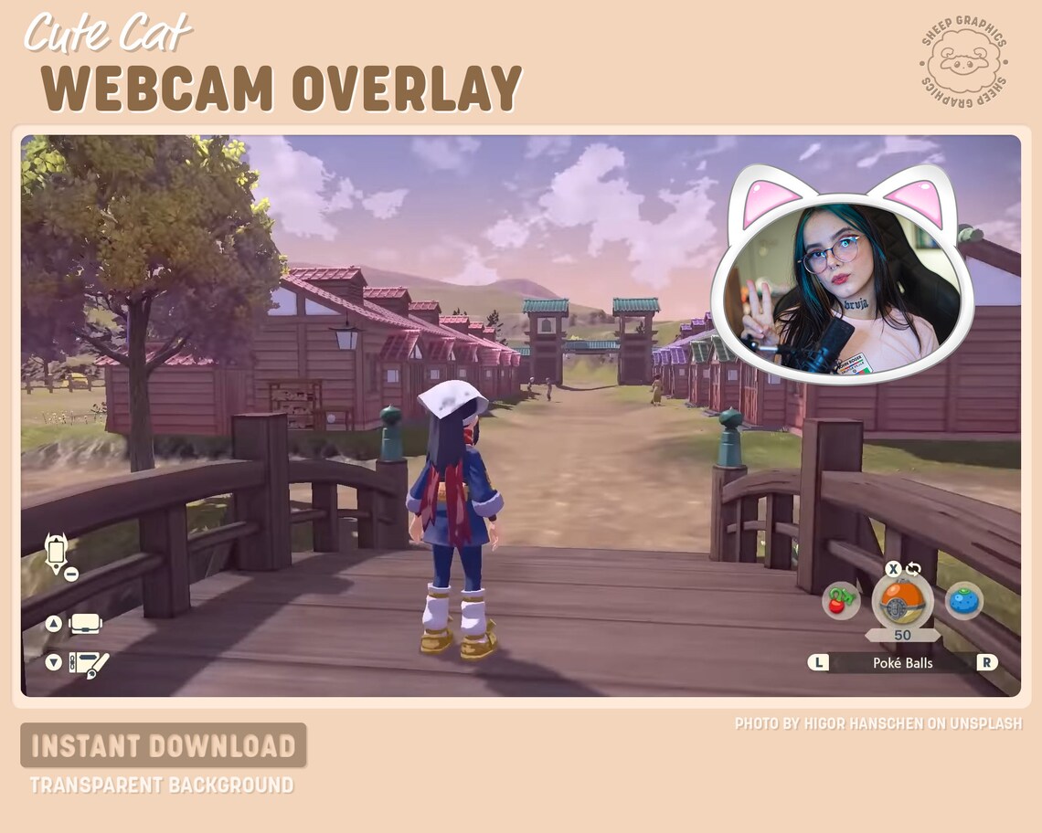 Cute Cat Cam Overlay / Camborder / Twitch Livestream Overlay / - Etsy