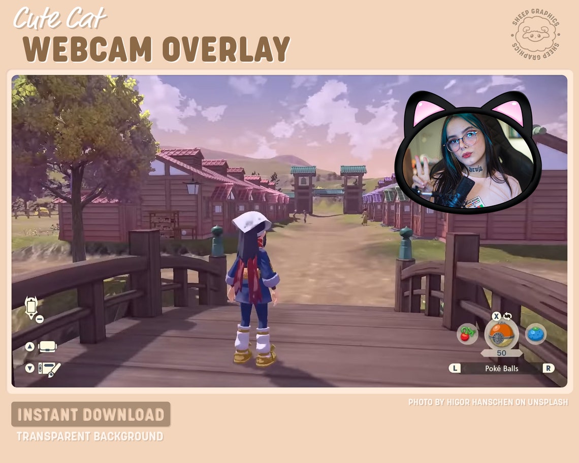 Cute Cat Cam Overlay / Camborder / Twitch Livestream Overlay / - Etsy