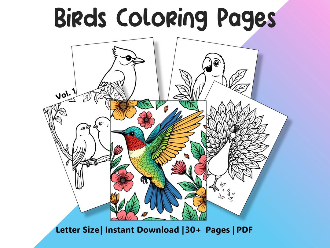 Bold & Breezy Birds Coloring Pages for Adults – 30+ Printable PDF - Etsy UK