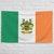 Hogan Irish Coat of Arms Family Crest Ireland Flag Irish Gifts for the ...