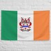 Miller Irish Coat of Arms Family Crest Ireland Flag | Irish Gifts for ...
