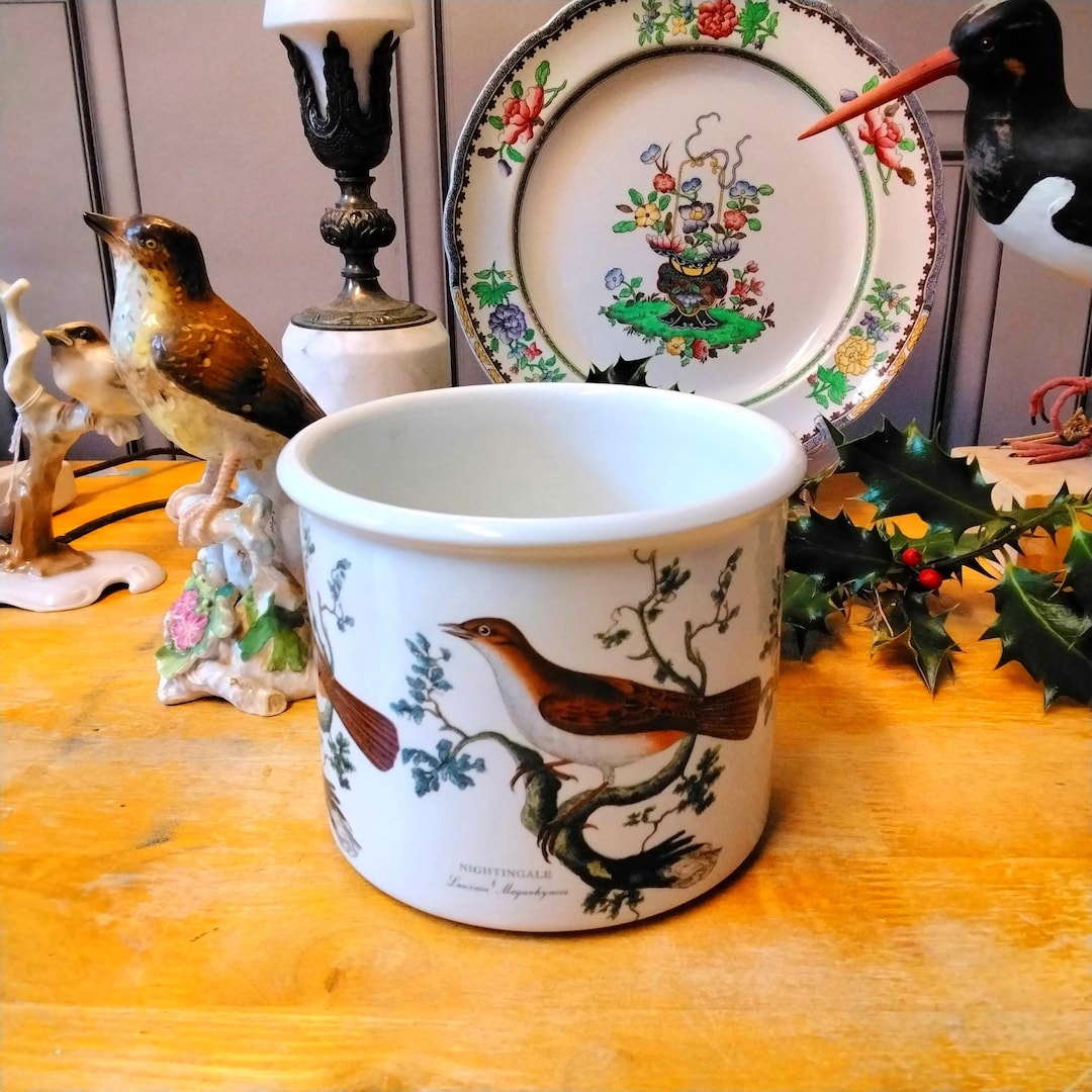 Portmeirion Birds of Britain, Nightingale Planter, Design by E. Donovan ...