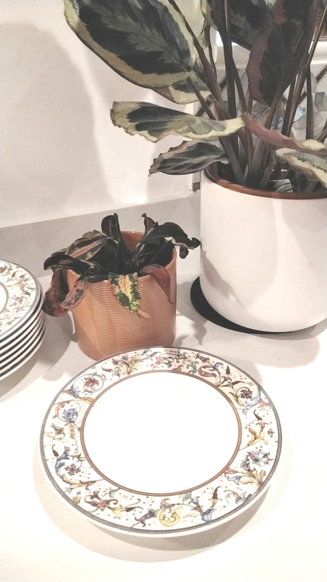 Villeroy and Boch Madeline Bone China Soup Plates, Chateau Collection ...