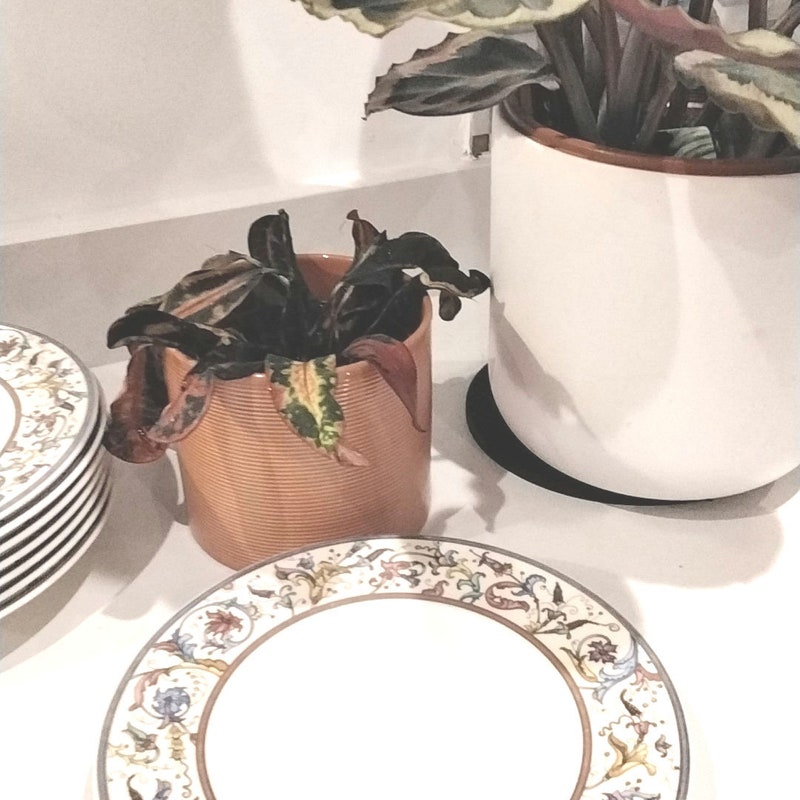 Villeroy Pasta - Etsy UK