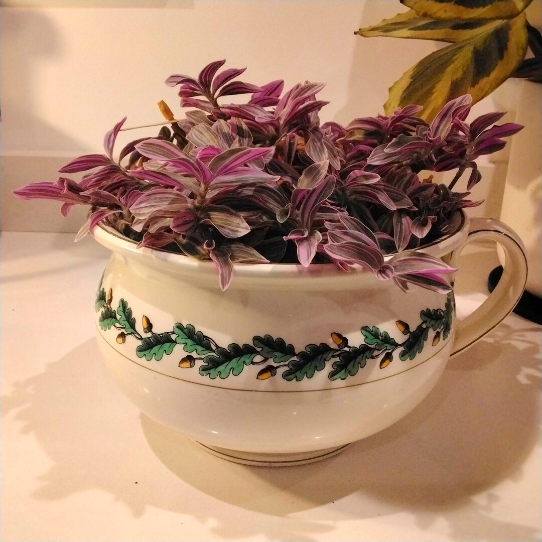 Josiah Wedgwood Etruria England, Large Chamber, Plant Pot Creamware ...