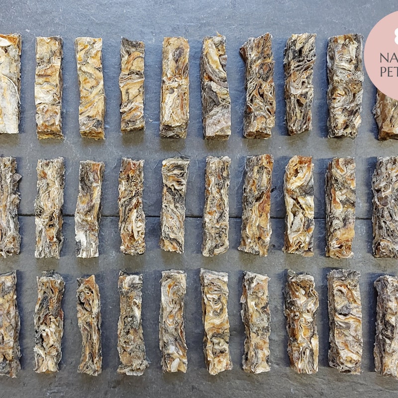 Fish Cat Skin - Etsy UK