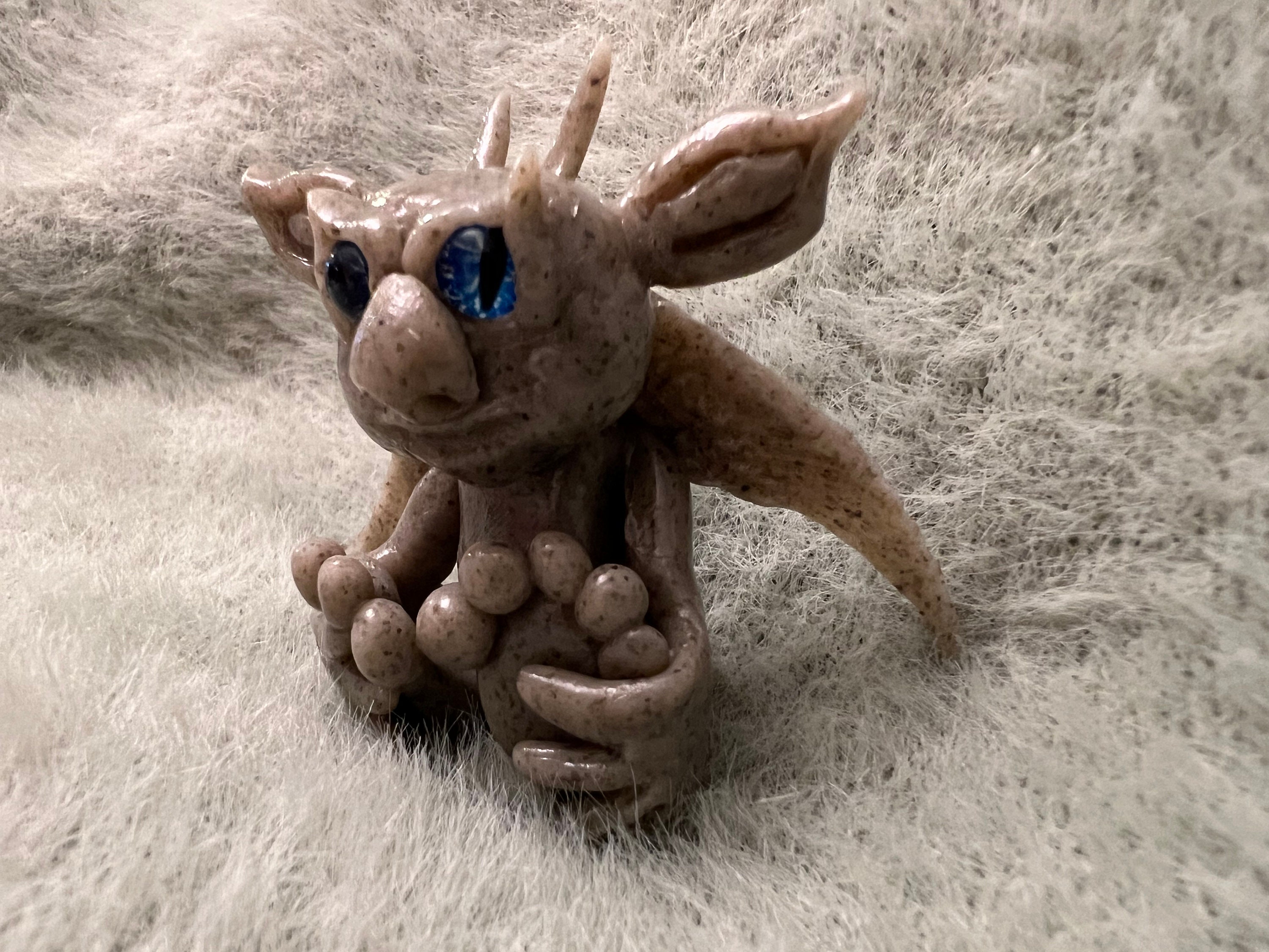 Meet Hamish, Also Called “papa Trog”. Trogs Are the King Relatives of ...