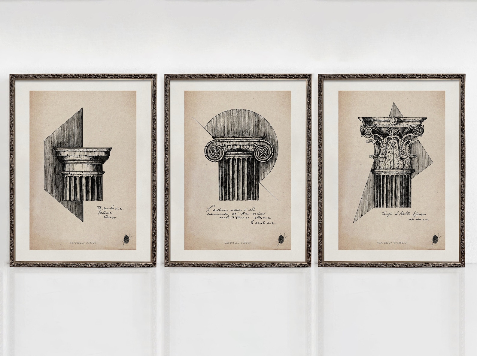 Classical Order | Architecture Print Set of 3 | Ancient Architecture ...