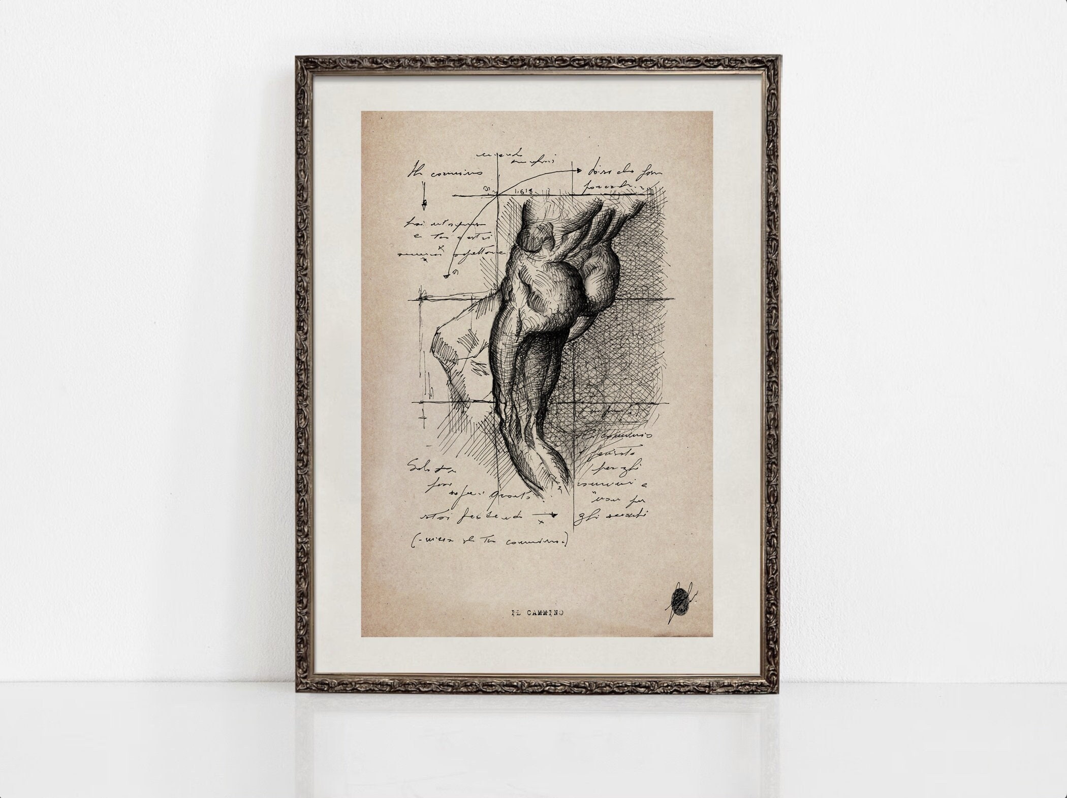 The Way Muscular System Art Anatomy Print Vintage Anatomy Human Anatomy ...