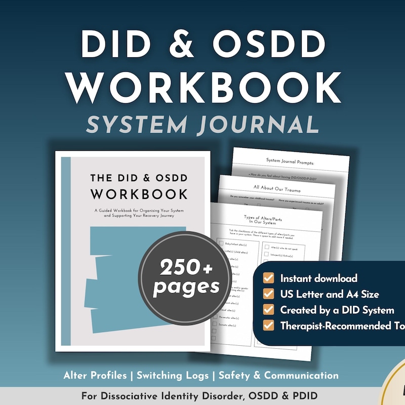 Did System Workbook - Etsy