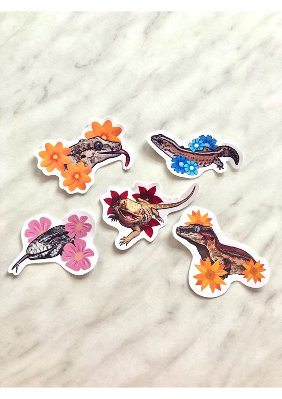 Lizard Glossy Sticker Pack - Etsy