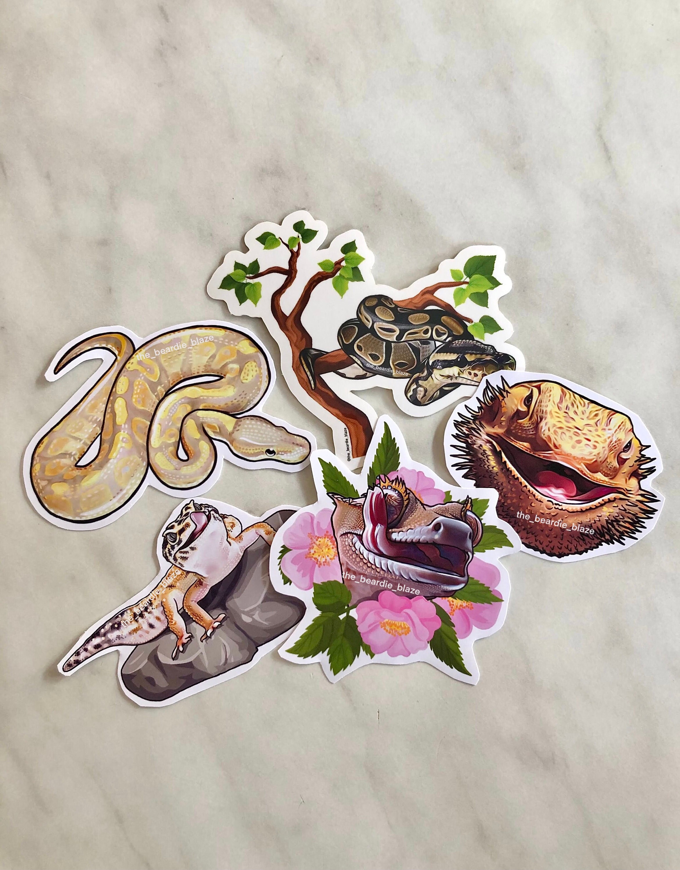 Reptile Glossy Sticker Pack - Etsy